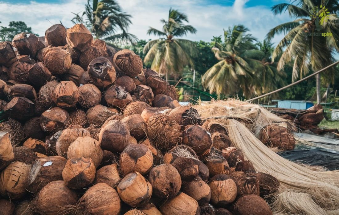 What is Coconut Fiber? The Sustainable and Eco-Friendly Choice ...