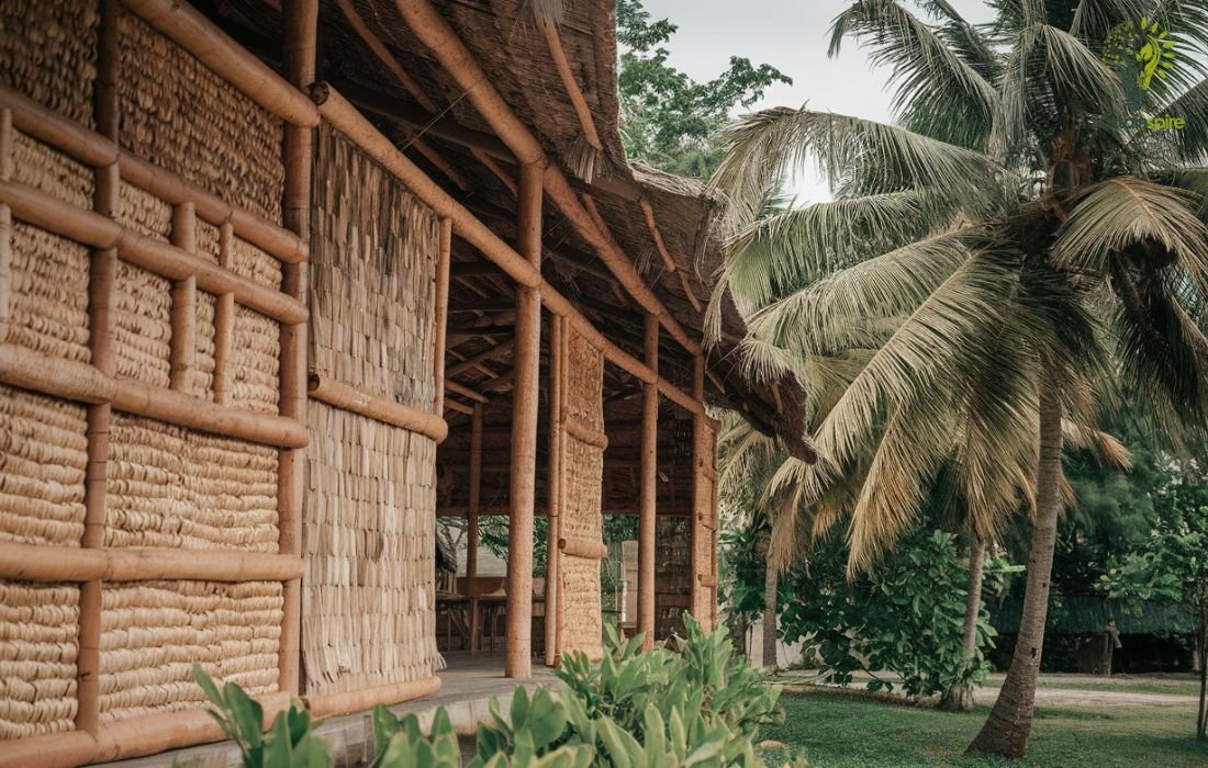 What is Coconut Fiber? The Sustainable and Eco-Friendly Choice ...